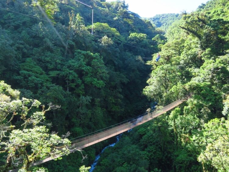 Top 5 Things To Do In Boquete, Panama - Elite Island Resorts