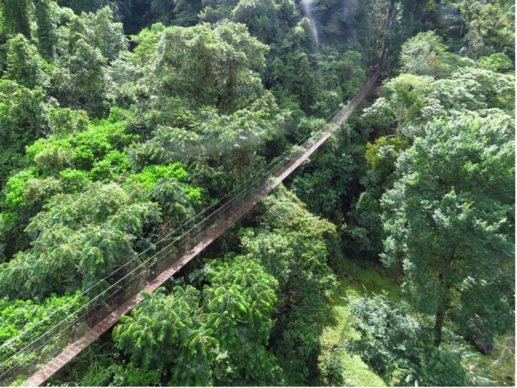 Top 5 Things To Do In Boquete, Panama - Elite Island Resorts